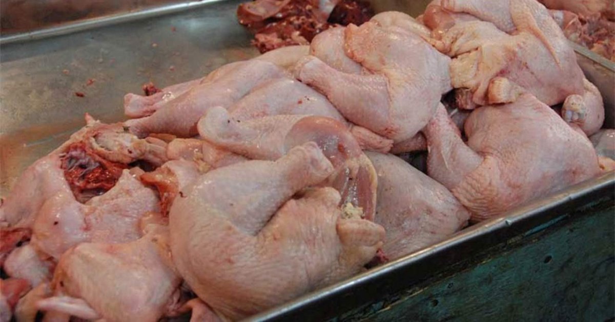 Detectan salmonella en pollo congelado entregado por Junaeb - Diarios ...